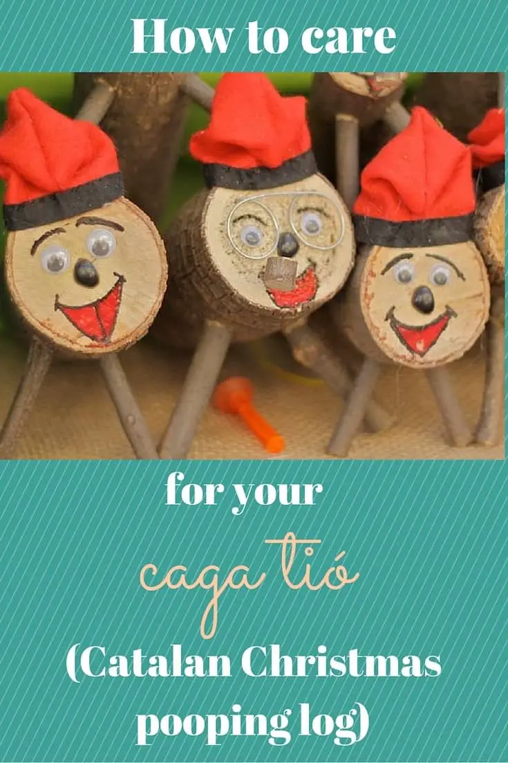 How to Care For Your Caga Tió (Tió de Nadal, Catalan Christmas Log ...
