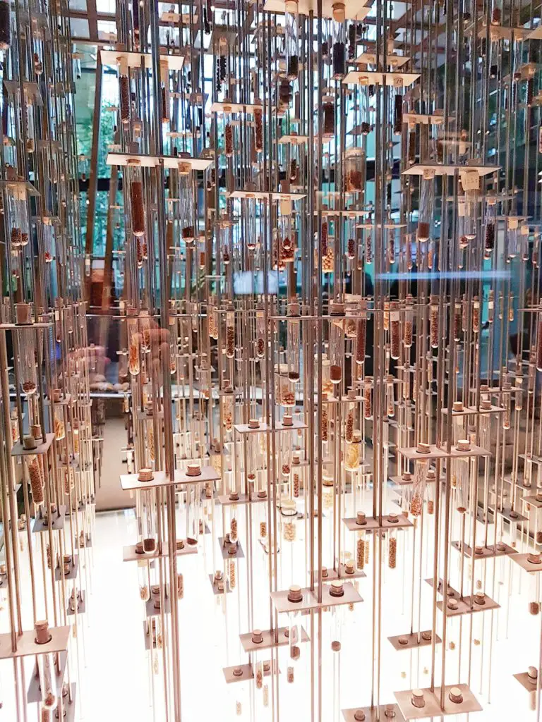 CosmoCaixa: An Interactive Science Museum in Barcelona - Latitude 41